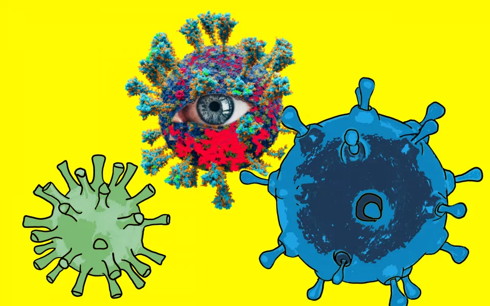 L’arrivée spectaculaire du variant “Pirola”